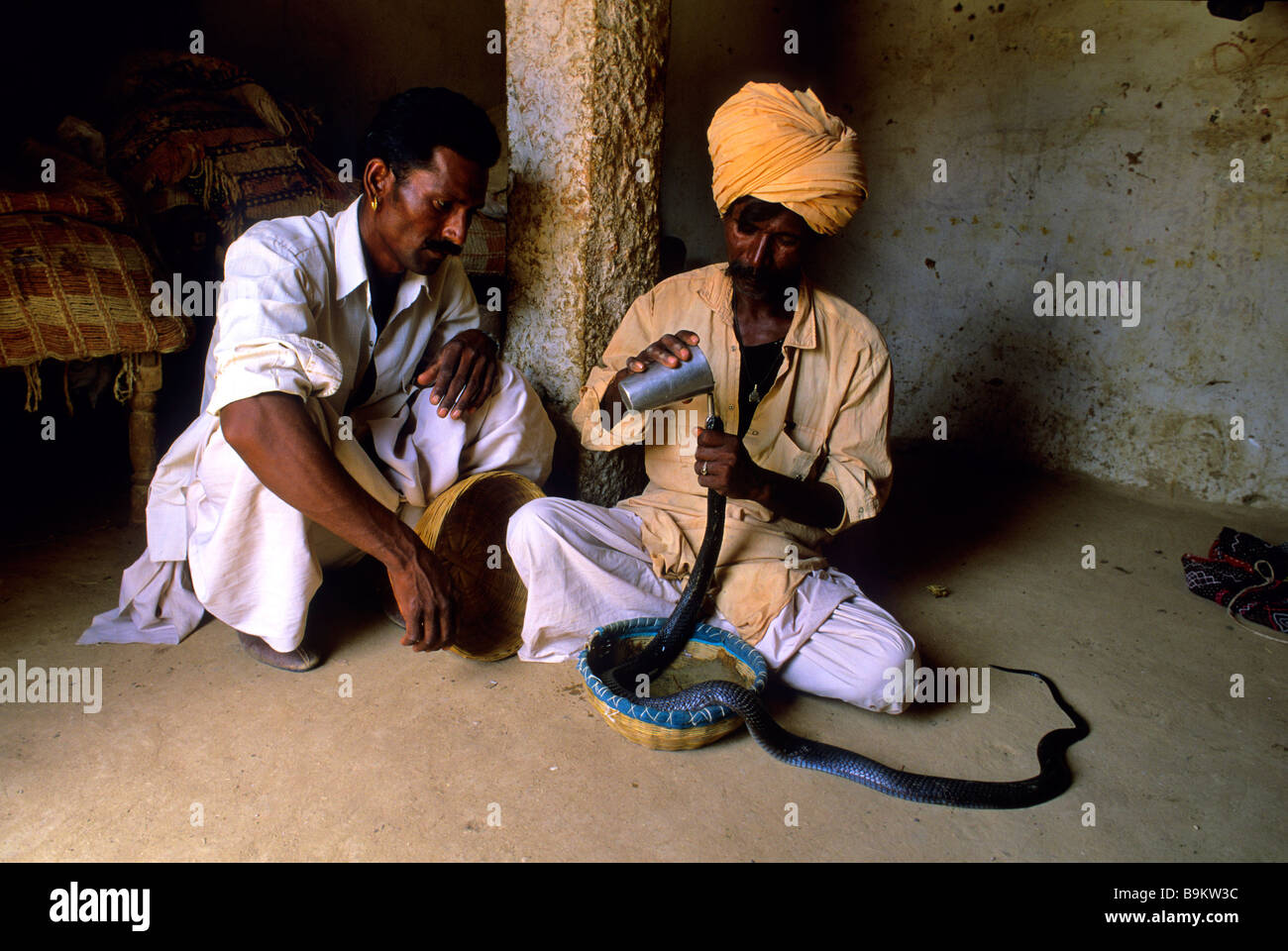 India, Rajasthan State, Thar Desert, Mitha Nath and Dungar Nath, snake ...