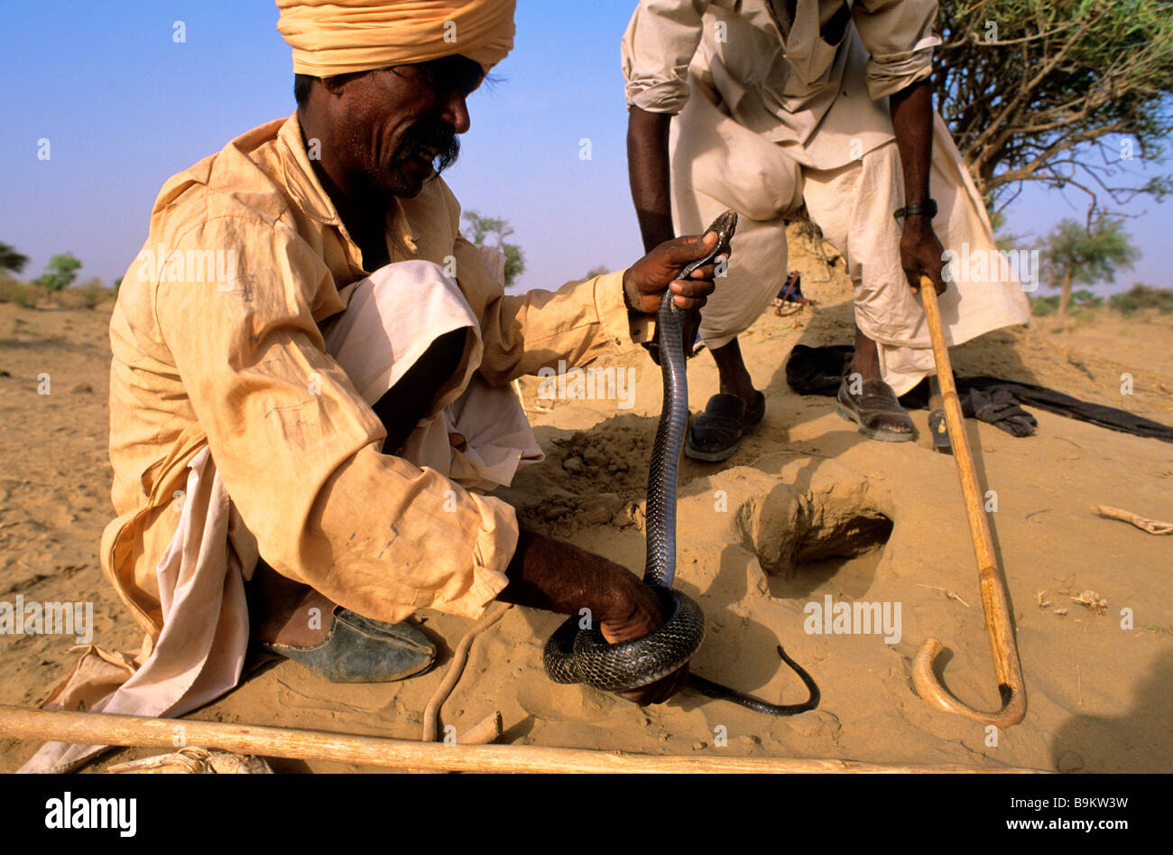 India, Rajasthan State, Thar Desert, Mitha Nath and Dungar Nath, snake ...