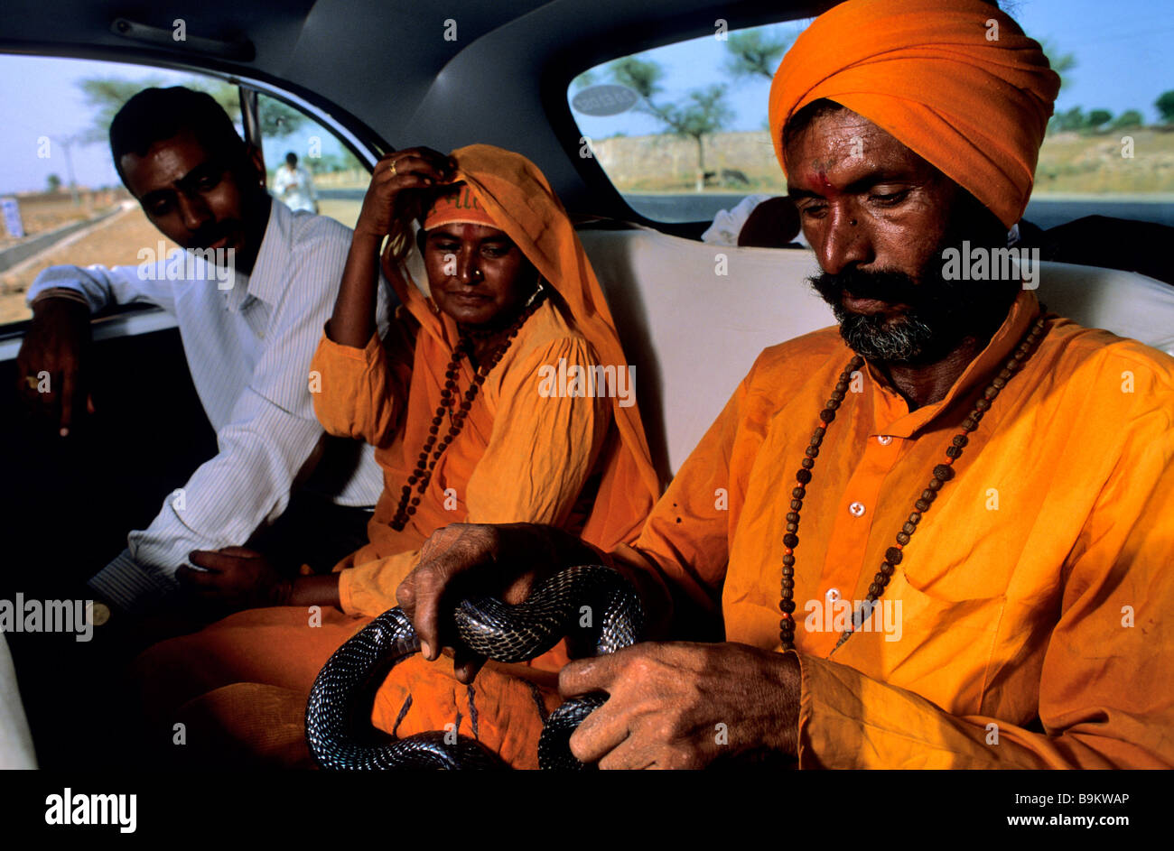 India, Rajasthan State, Thar Desert, Jaisalmer, Heera Nath and Kanku ...