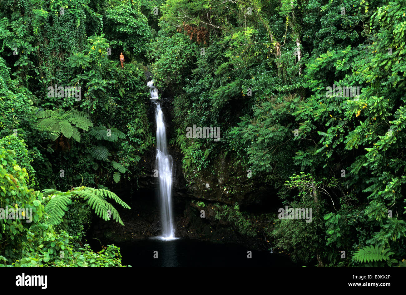 South Pacific, Samoan Archipelago, Upolu Island, Sopo'aga waterfall ...