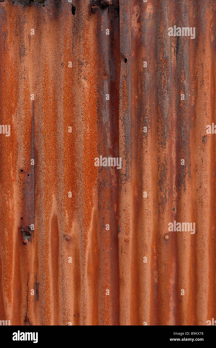 rust corrugated iron rusty detail of red textures and showing the ...