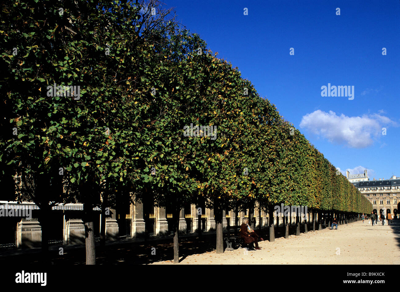 France, Paris, alleyway in Palais Royal Garden Stock Photo - Alamy