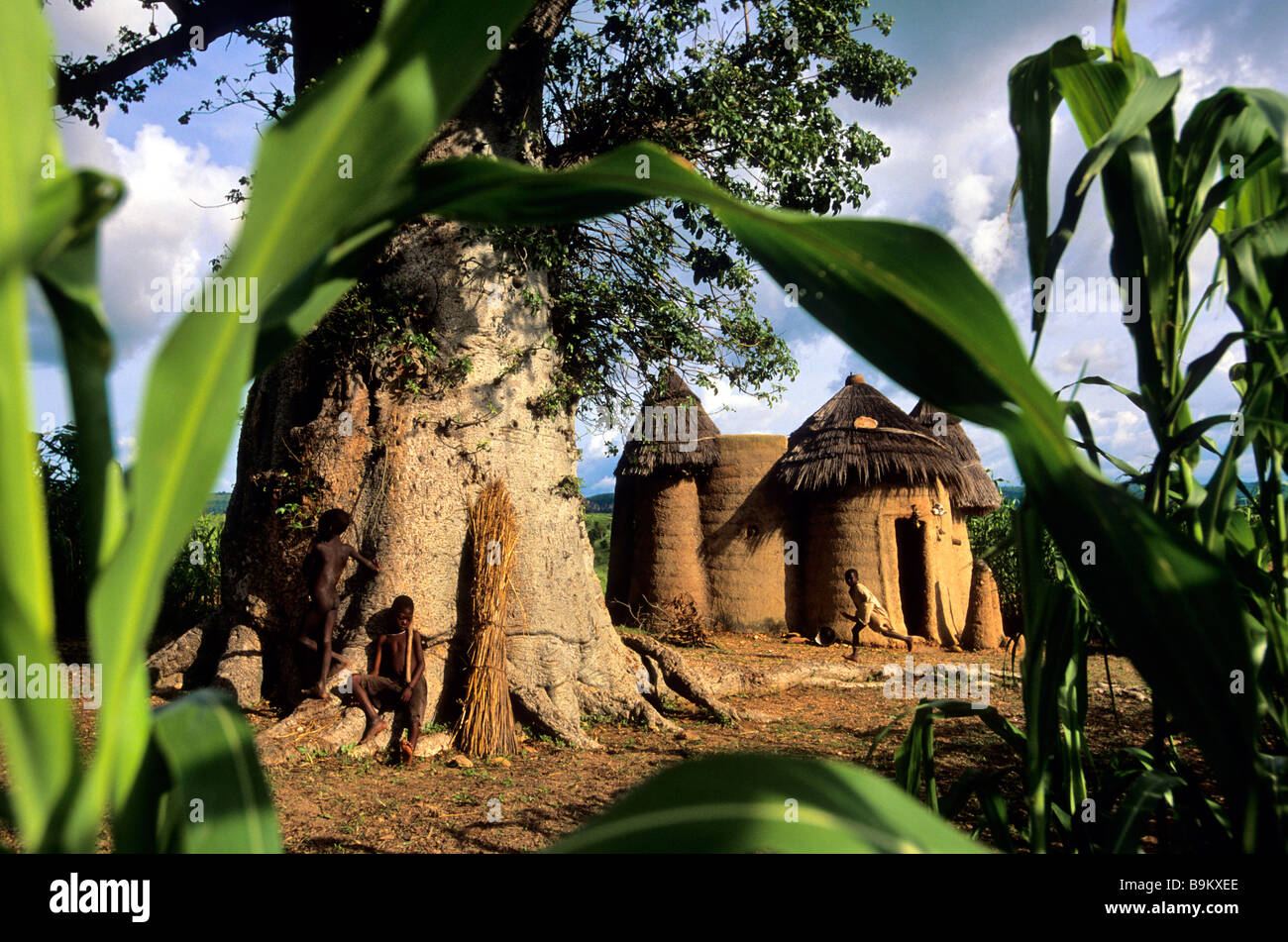 Benin, Atacora County, Koutagou, children playing hide-and-seek in ...