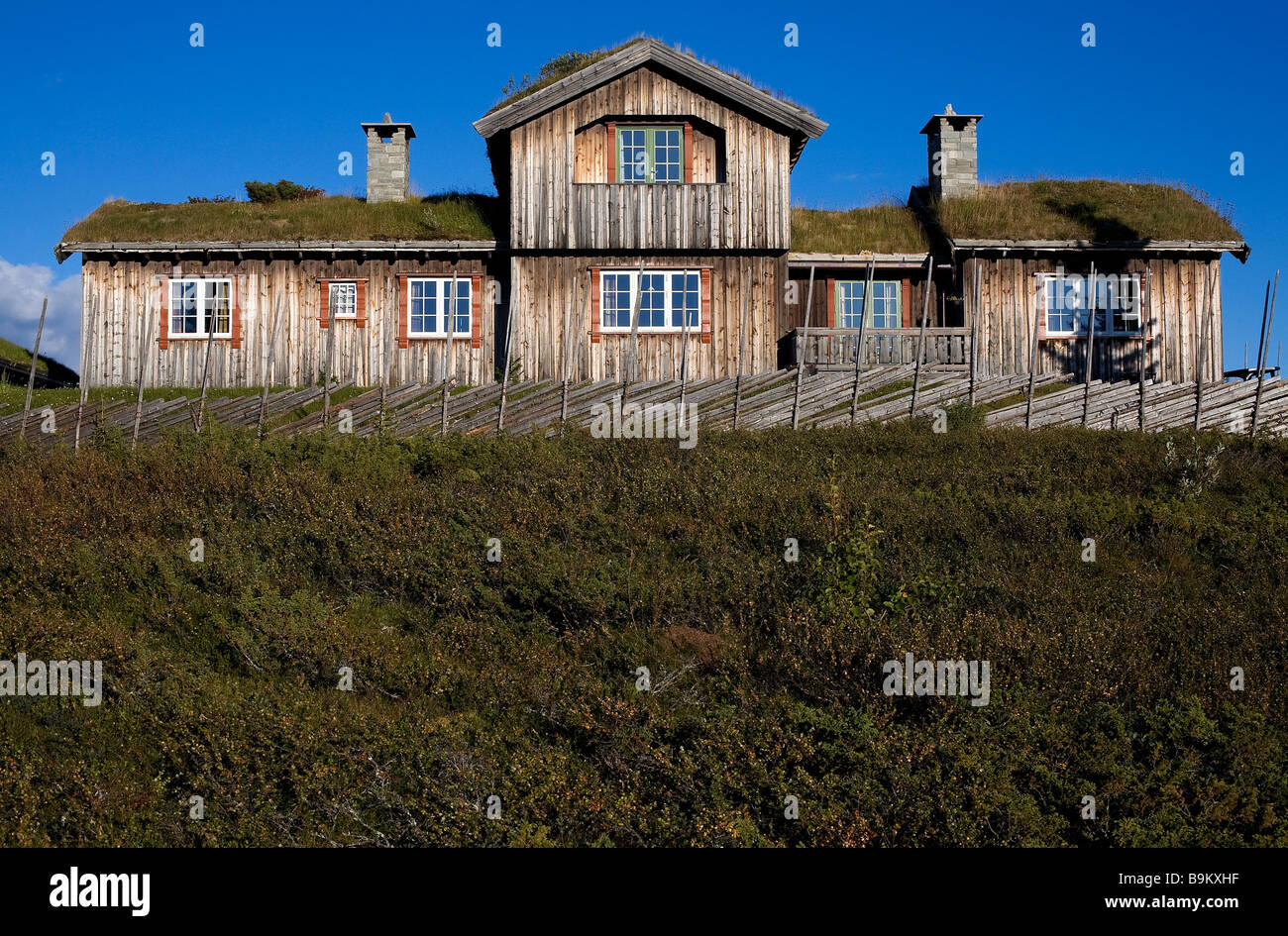 Gala norway hi-res stock photography and images - Alamy