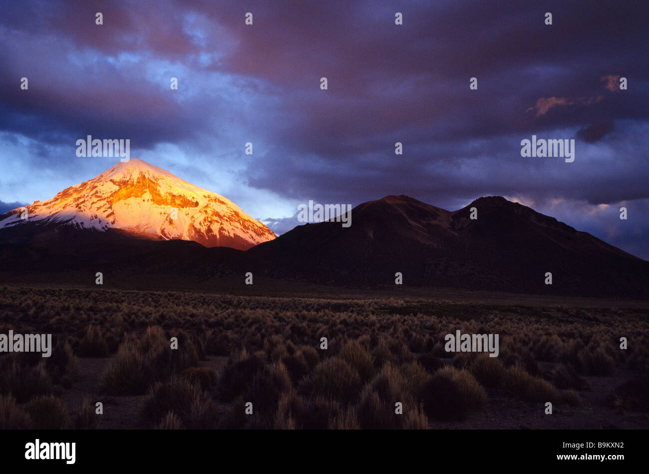 Nevado sajama hi-res stock photography and images - Alamy