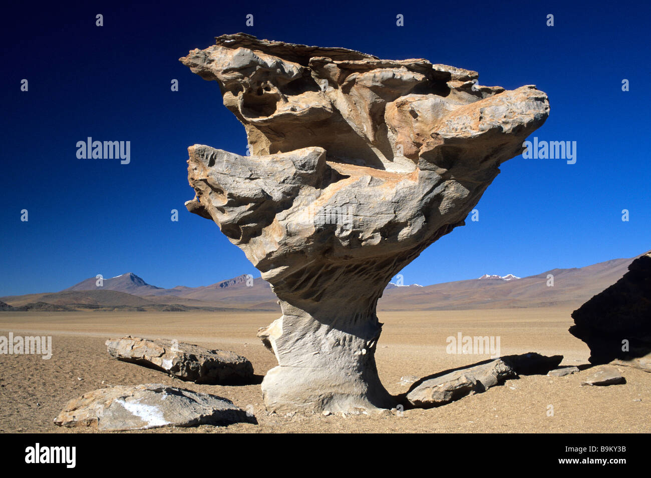 Bolivia, Potosi department, Sur Lipez province, stone formation Arbol ...
