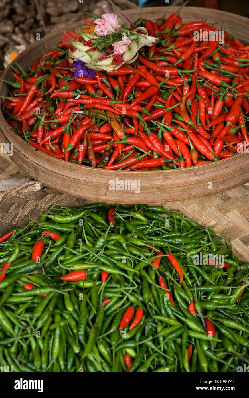 Indonesia, Bali, red and green chili peppers Stock Photo - Alamy