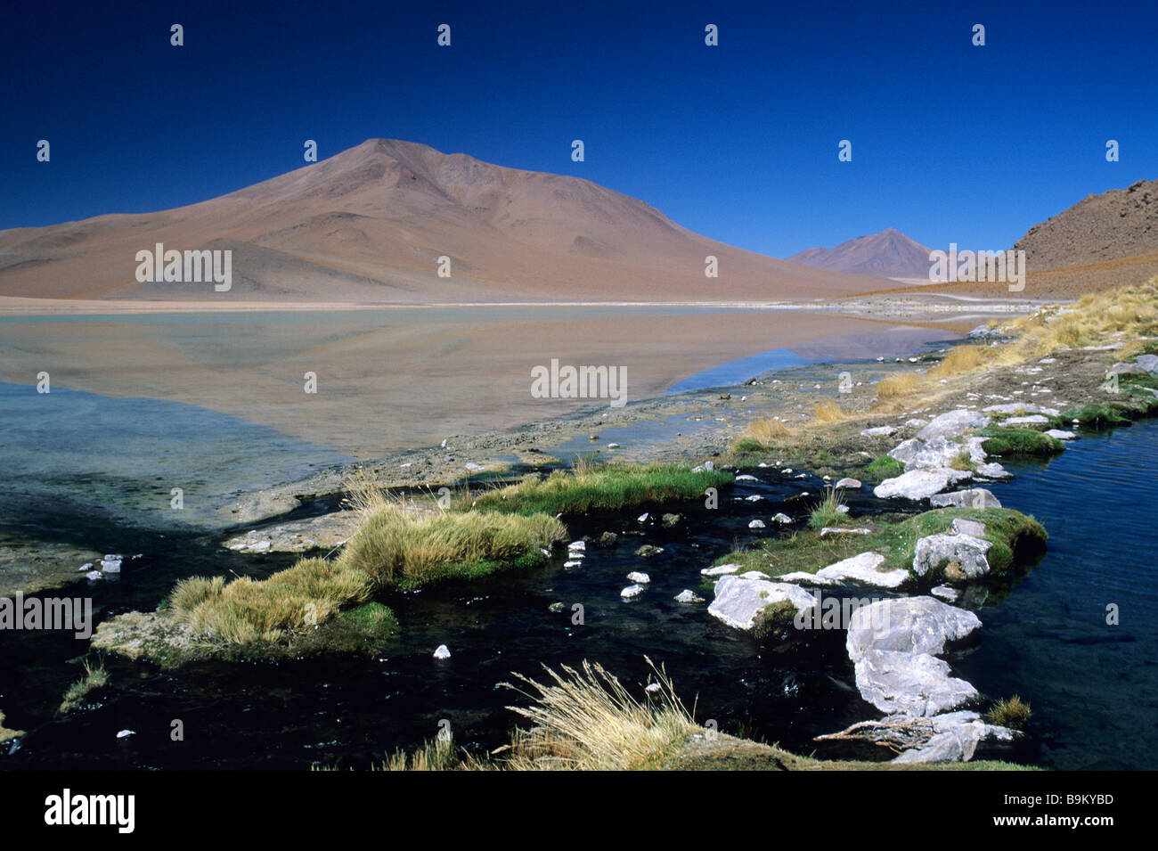 Bolivia, Potosi Department, Sur Lipez Province, hotsprings in the ...
