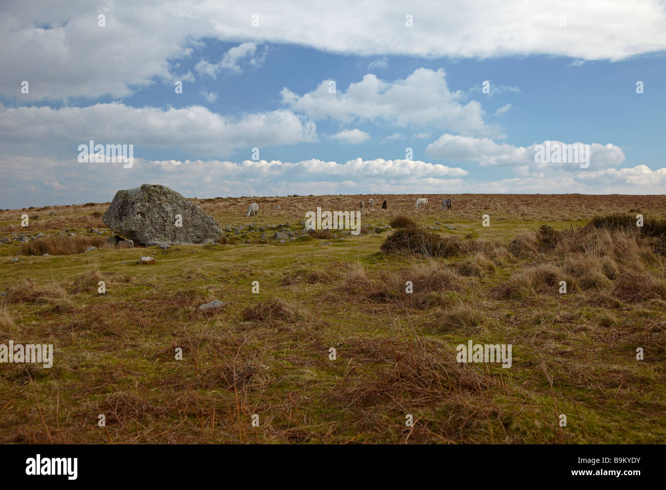 Arthur's stone gower hi-res stock photography and images - Alamy