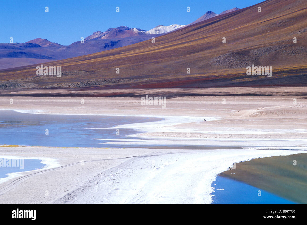 Bolivia, Potosi Department, Sur Lipez Province, Eduardo Avaroa Andean ...