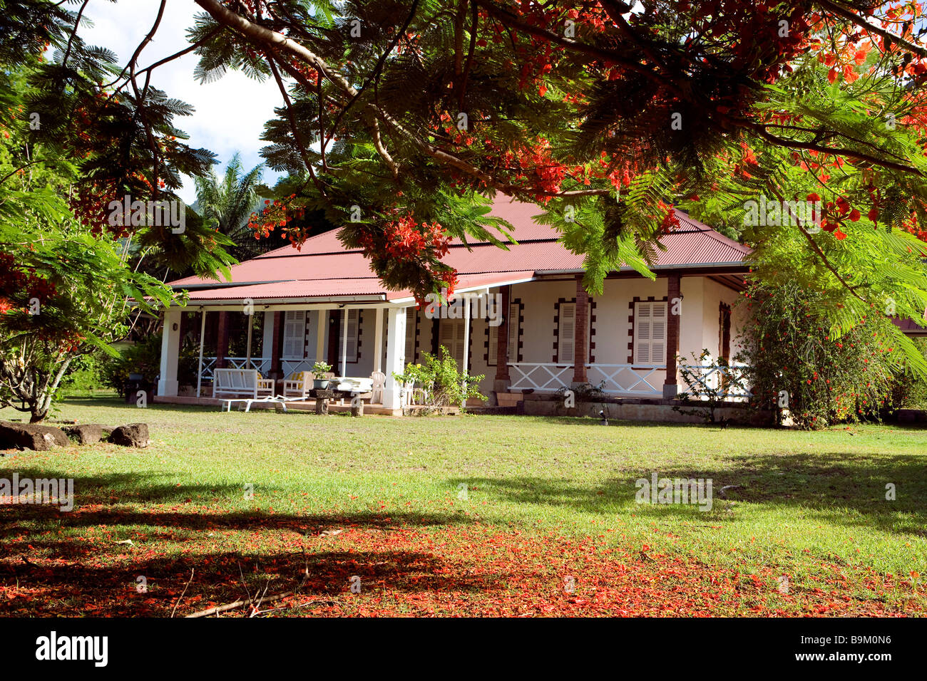 France, French Polynesia, Marquesas Archipelago, Nuku Hiva Island at ...