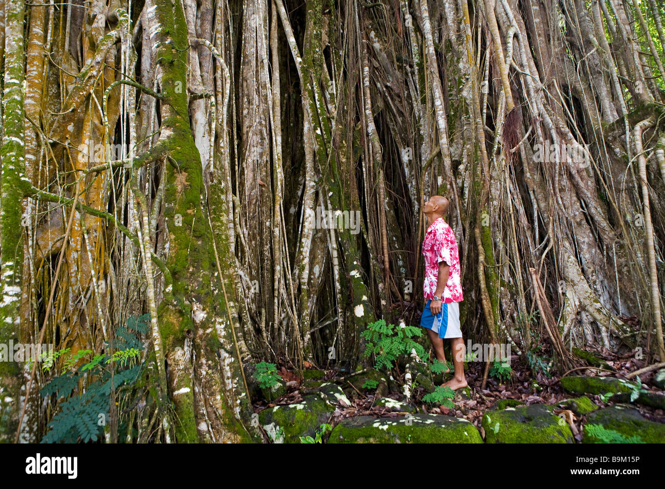 France, French Polynesia, Marquesas Archipelago, Hatiheu Bay and ...
