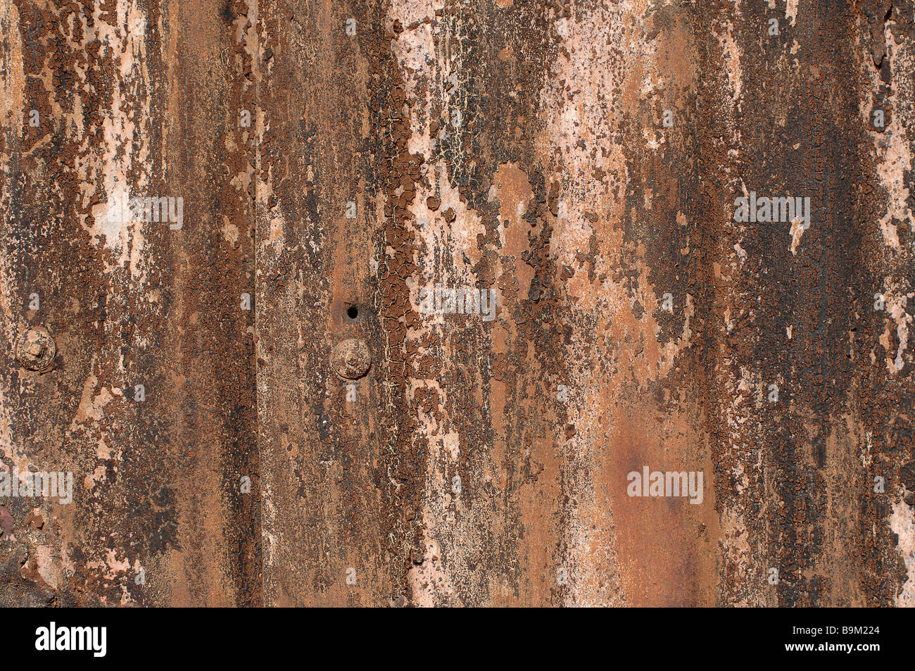 rust corrugated iron rusty detail of red textures and showing the ...
