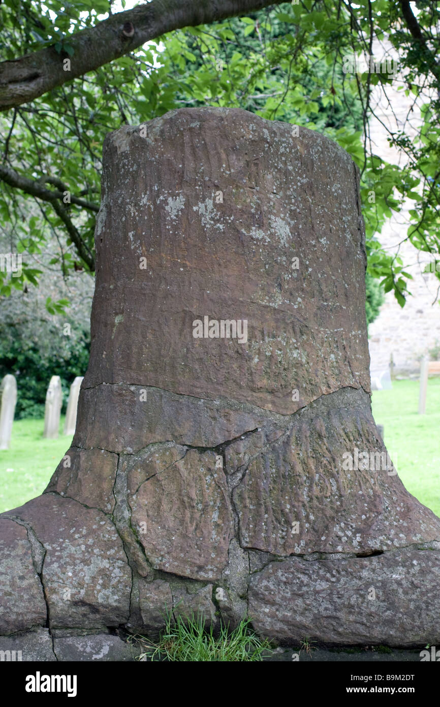 Stanhope Fossil Tree Stock Photo - Alamy