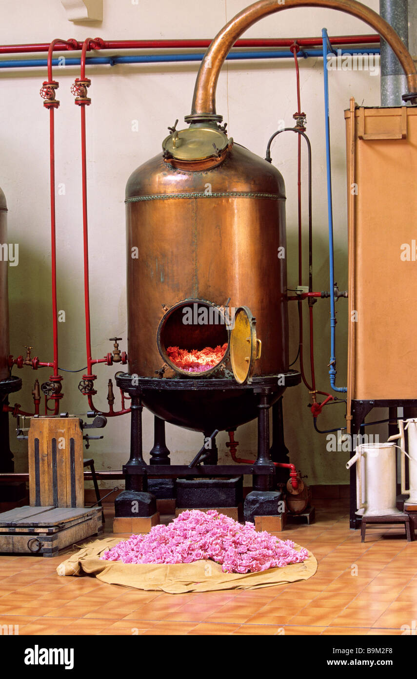 France, Alpes maritimes, Grasse, Molinard, provençal perfumer since ...