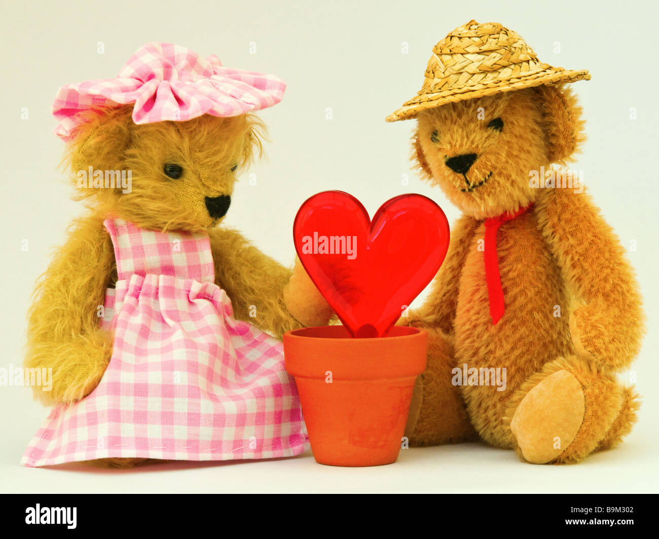 Miniature teddy love flower (Mini Bear Collection Stock Photo - Alamy
