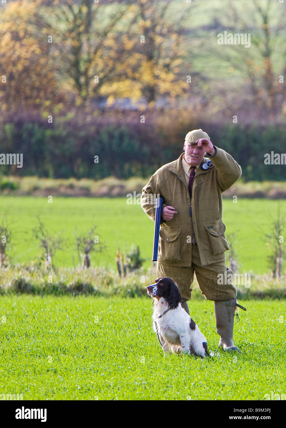 Keeper Gun Dog Shot Gun Stock Photo - Alamy