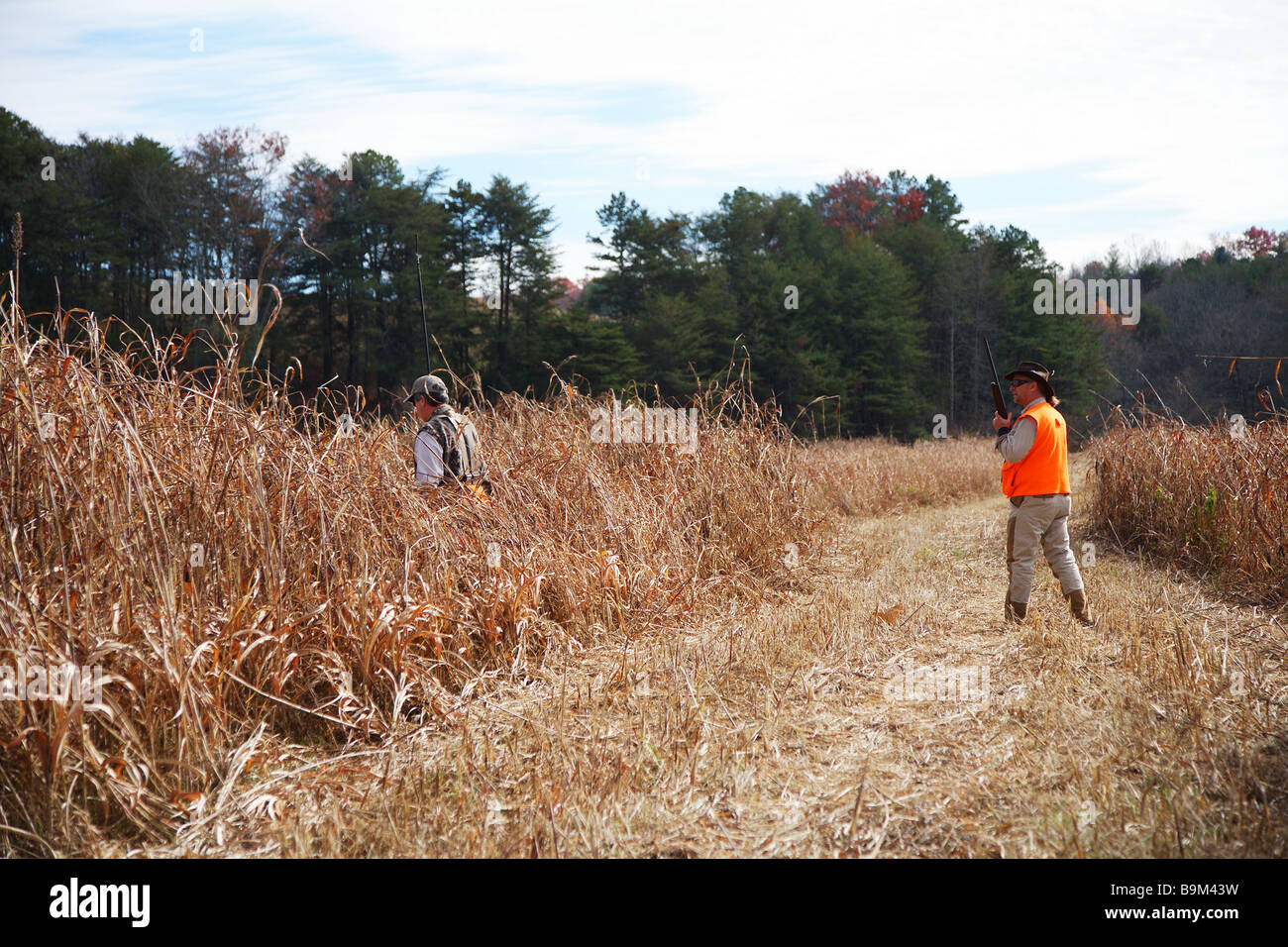 Hunting Guide leading hunter into tall grass Stock Photo - Alamy