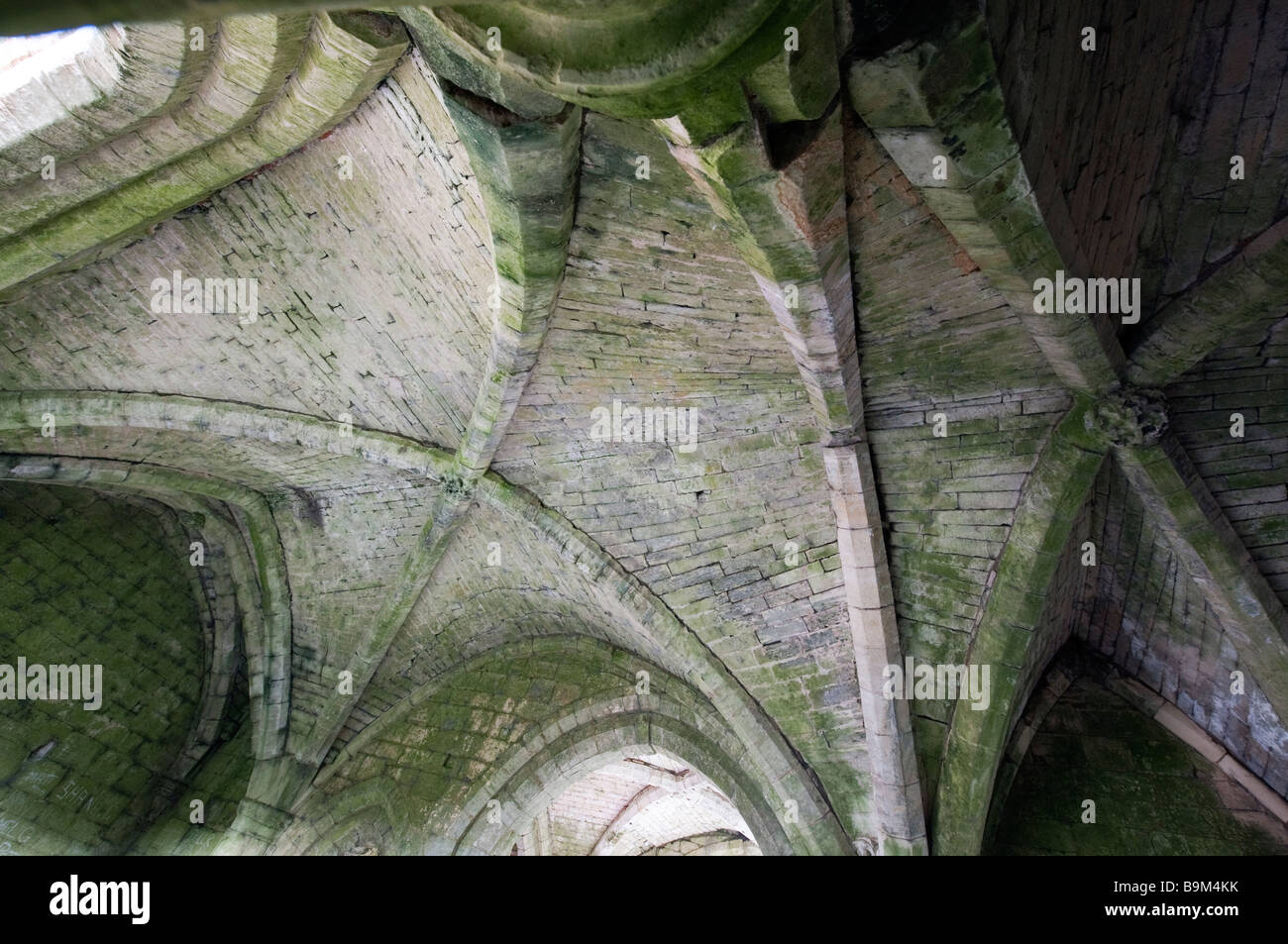 Rib arches hi-res stock photography and images - Alamy