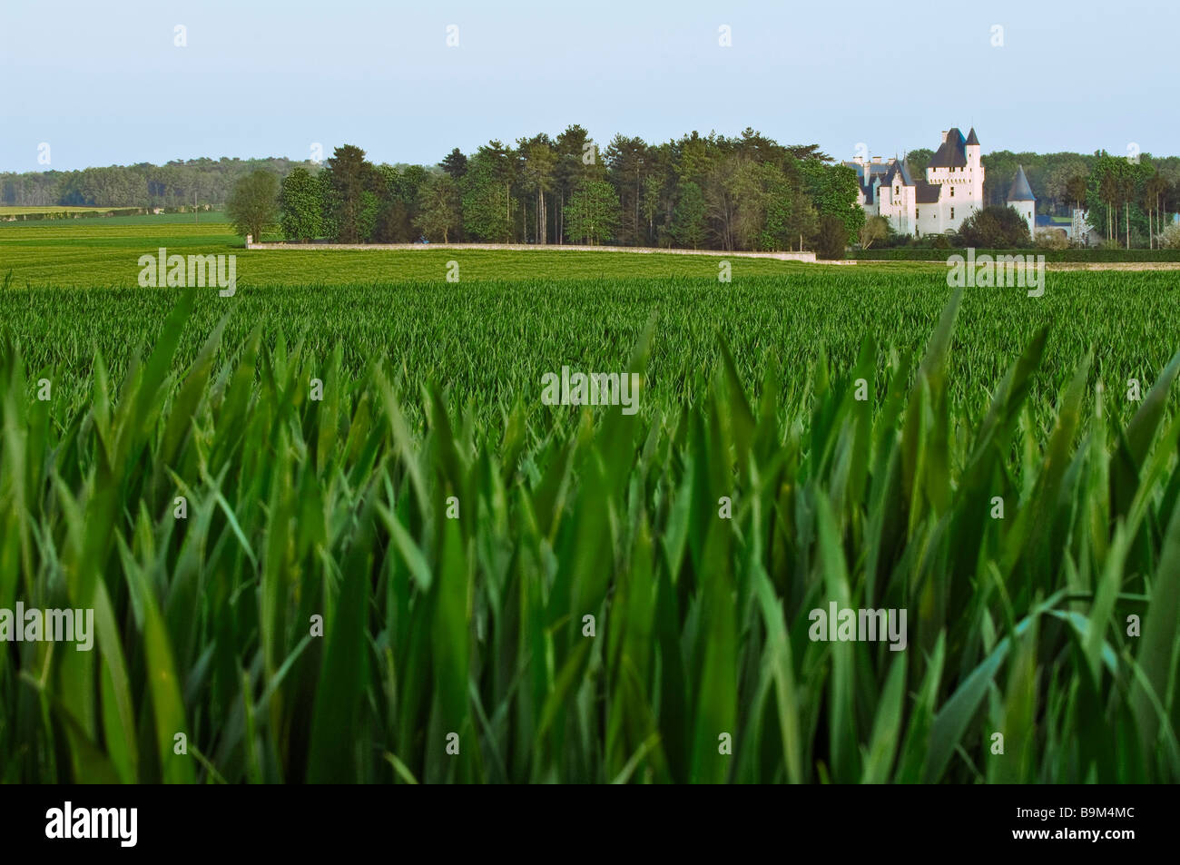 Lemere hi-res stock photography and images - Alamy