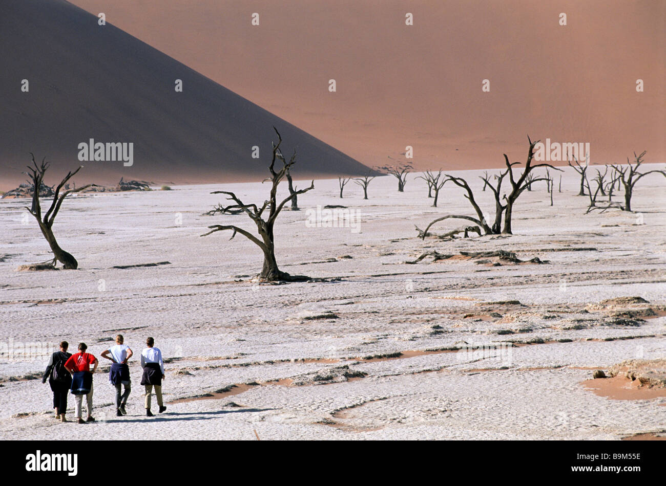 Namibia, Namib Naukluft National Park, Namib desert, Dead Vlei (Death ...