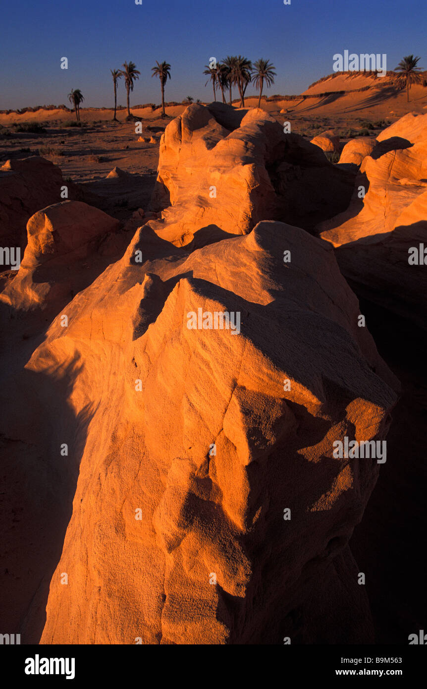 Tunisia, Southern Tunisia, Douz area, desert Stock Photo - Alamy