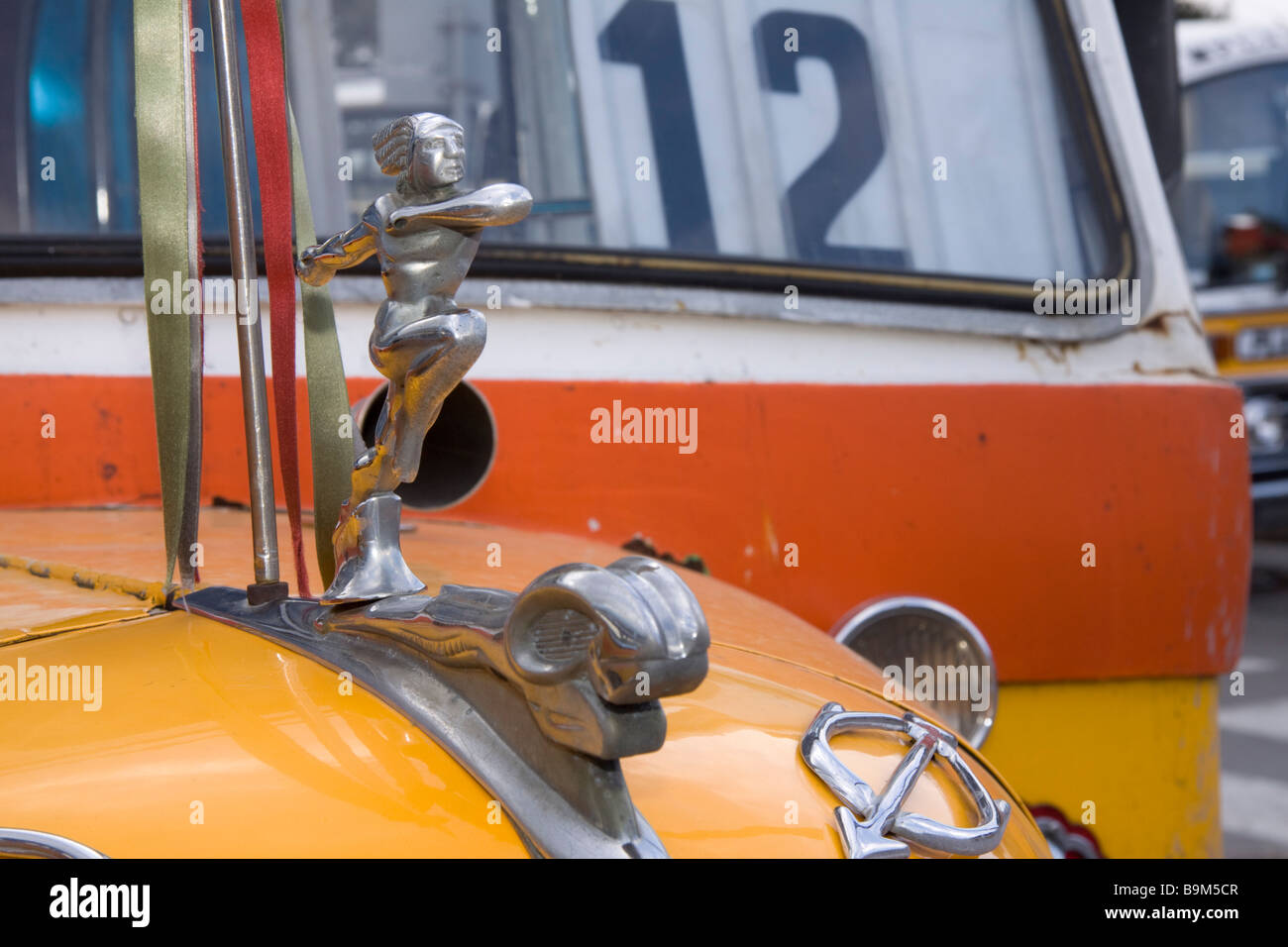 Maltese Bus Mascot Close Up Stock Photo - Alamy