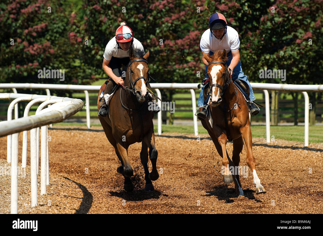 Ireland, County Kildare, Maynooth, Moyglare Stud, horse training Stock ...