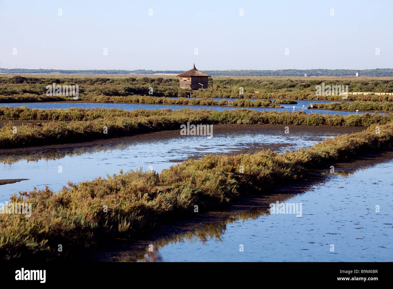 Marismas del odiel hi-res stock photography and images - Alamy