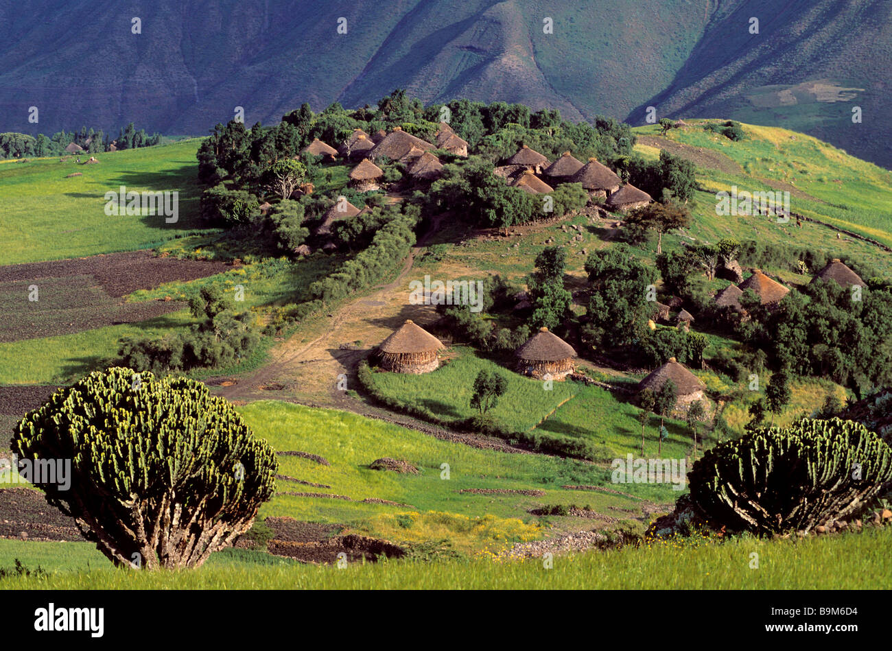 Ethiopia, Wolo, Lalibela area, village of Wollo tukuls (huts Stock ...
