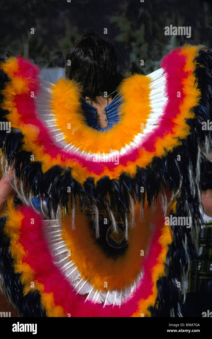 Native American Indian Dancer in Traditional Ceremonial Regalia at a ...