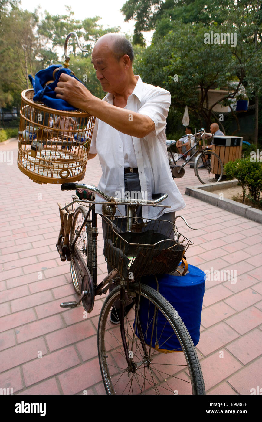 China, Beijing, Chinese man with a bird cage Stock Photo - Alamy