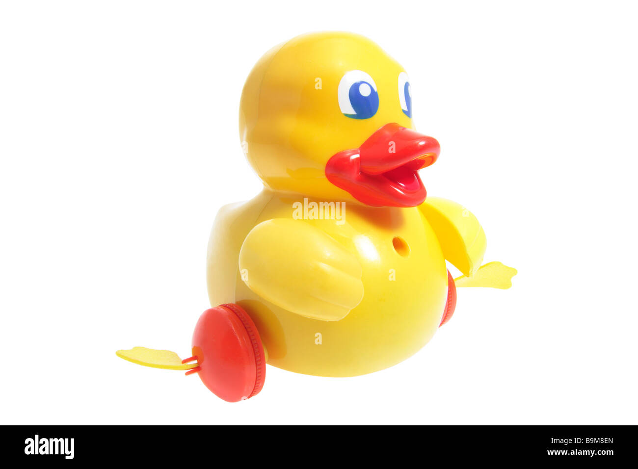 Duckling play hi-res stock photography and images - Alamy