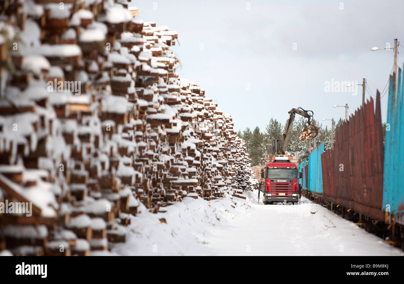 Loading logs from log truck to cargo log train at Winter at railroad ...
