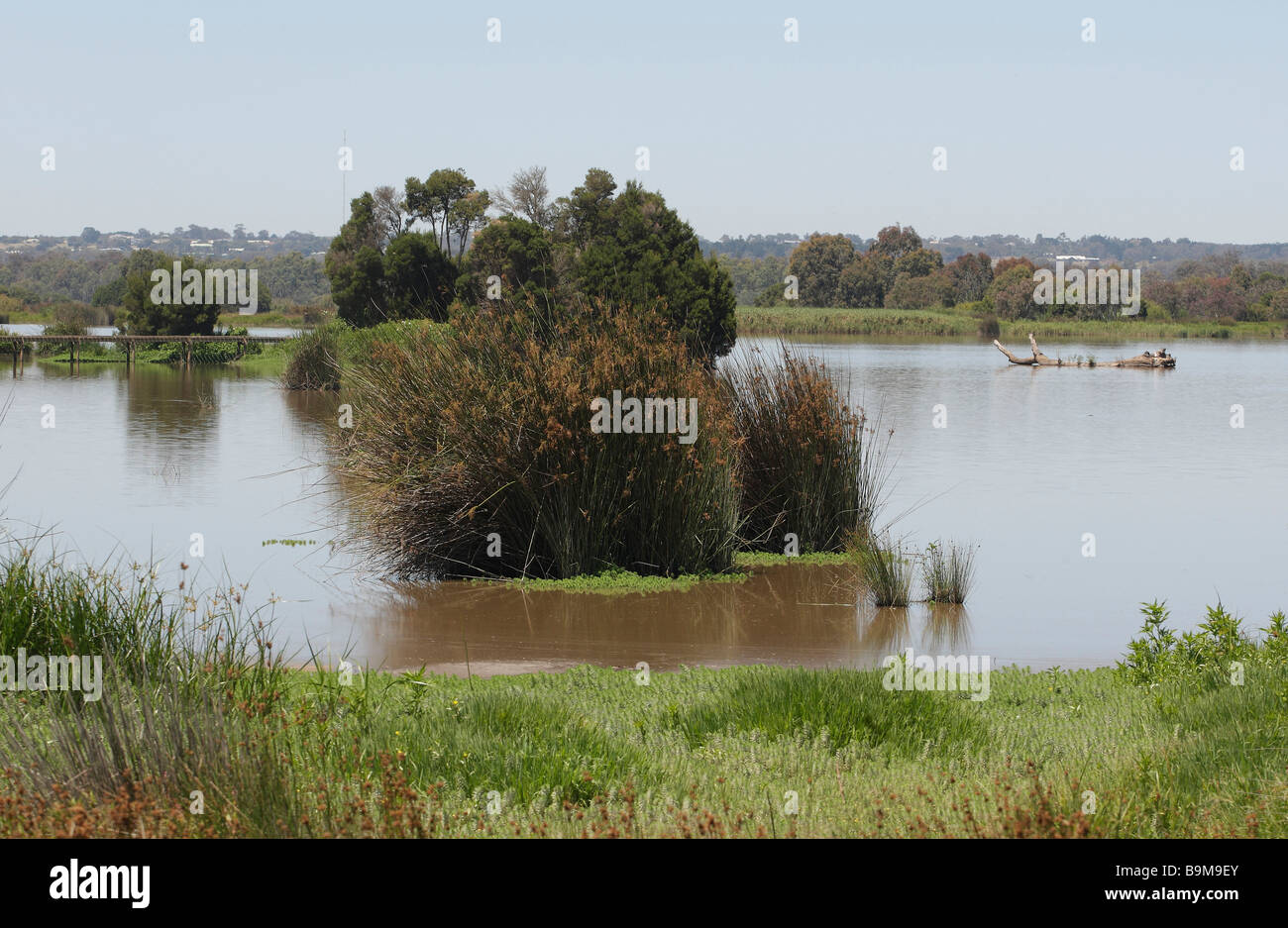Australian marsh hi-res stock photography and images - Alamy