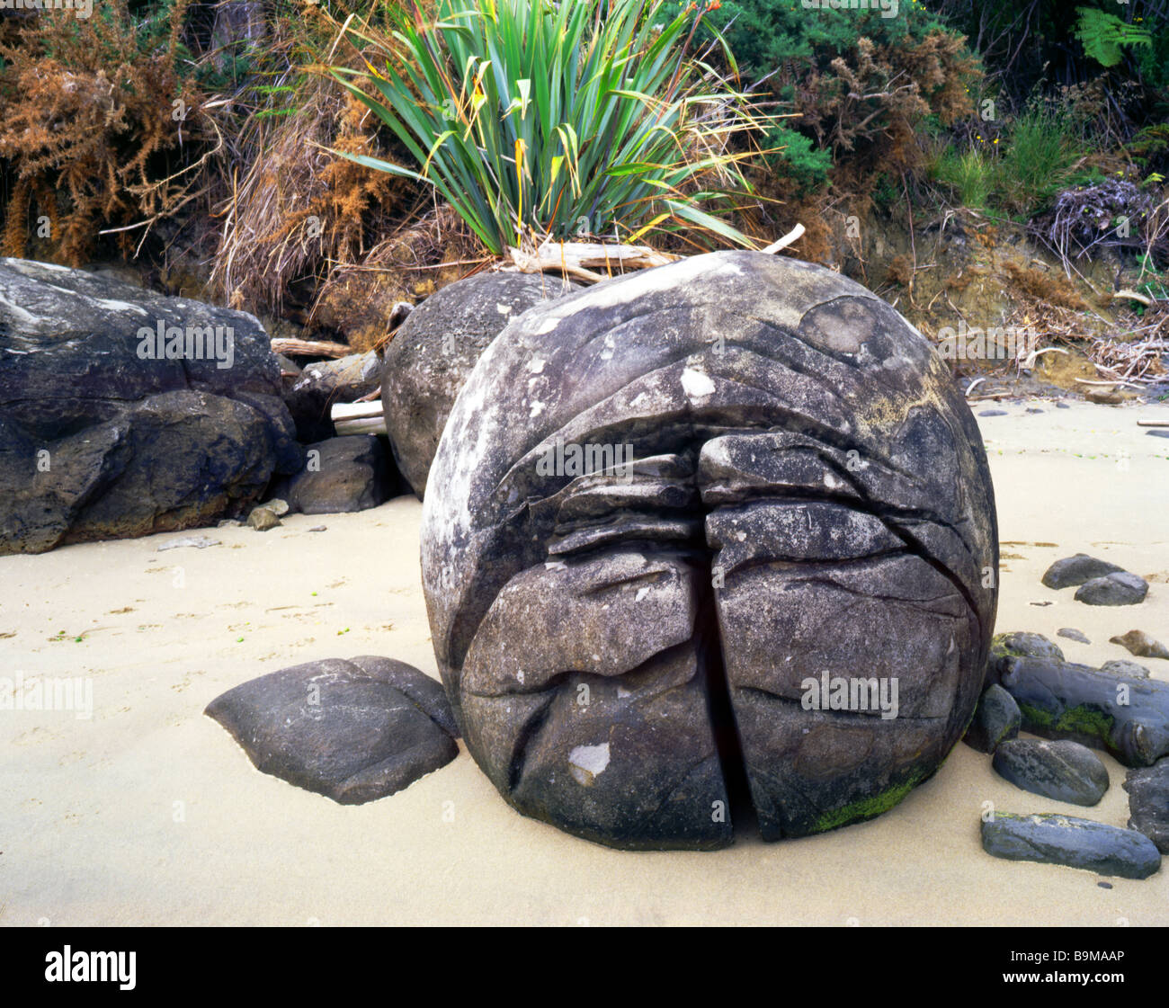 Concretion hi-res stock photography and images - Alamy