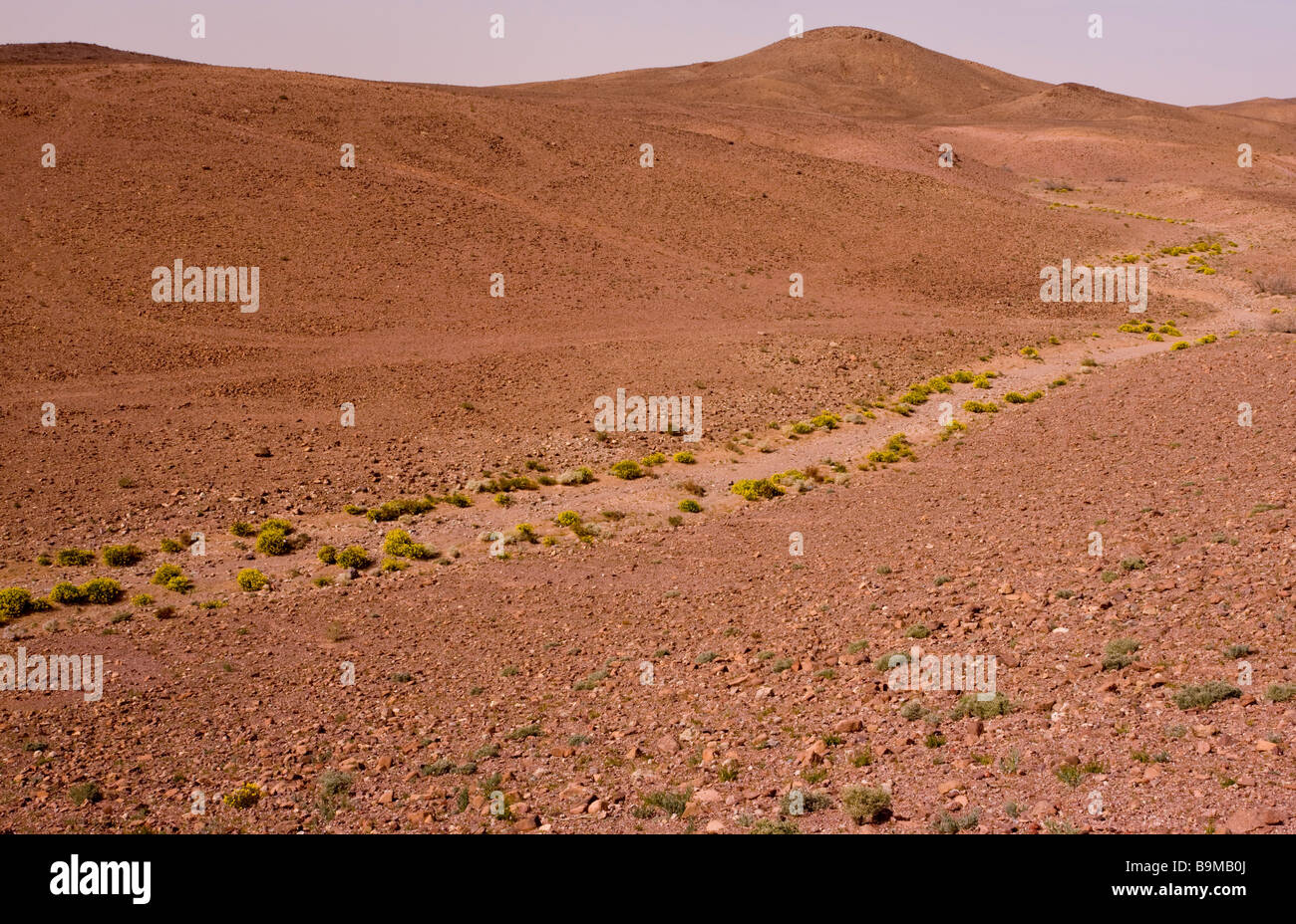 Stony desert hi-res stock photography and images - Alamy
