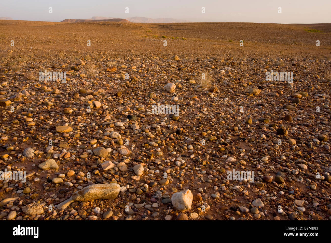 Stony desert or Hamada west of Ouazarzade on the edge of the Sahara ...