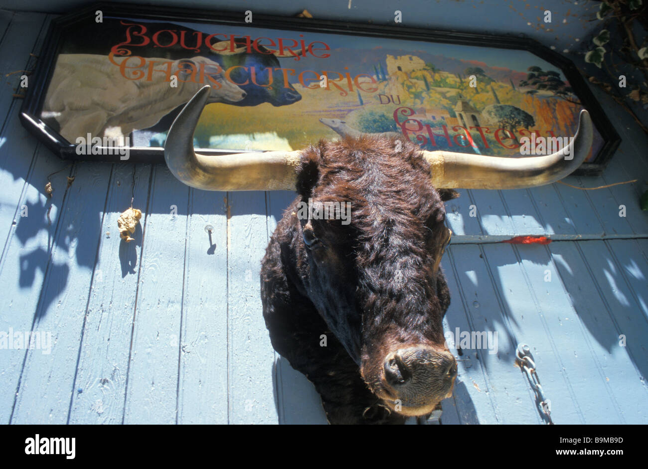 Head of a Bull, Butchery, Butcher, Beaumes de Venise, Provence, France ...