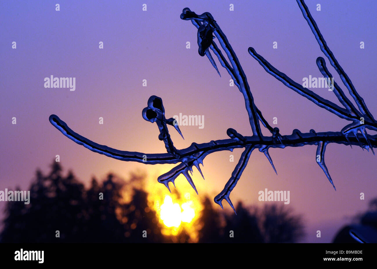 Ice storm frozen rural hi-res stock photography and images - Alamy