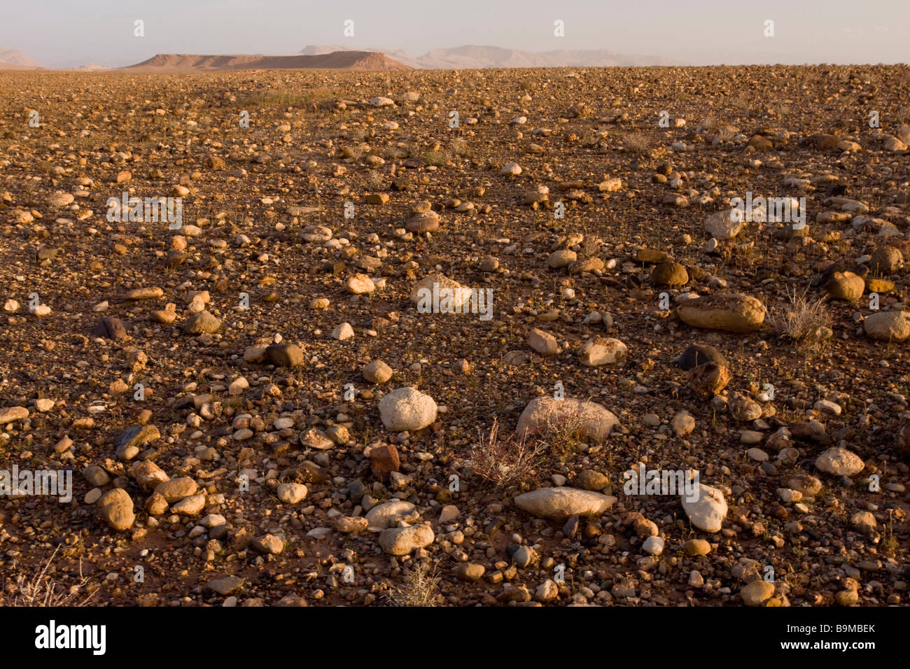 Stony desert or Hamada west of Ouazarzade on the edge of the Sahara ...