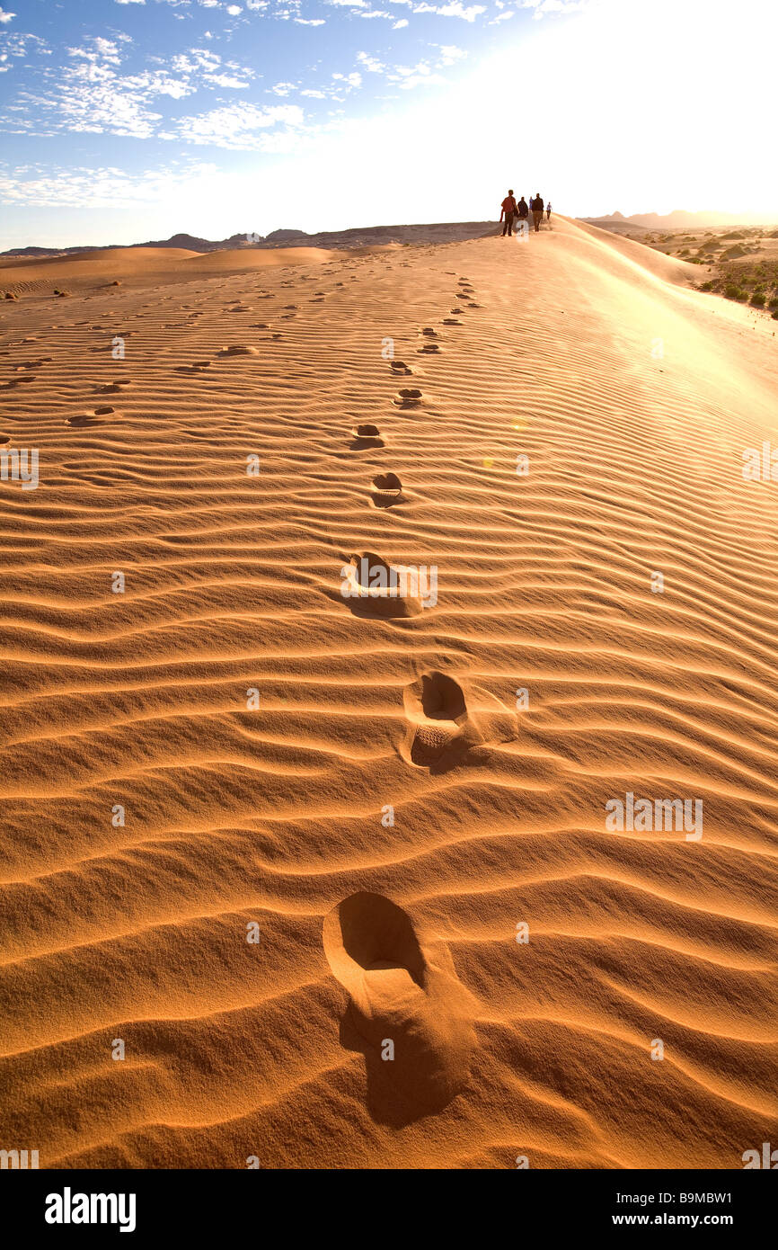 Mauritania, Adrar, Chinguetti area, Leguerara, sand dune Stock Photo ...