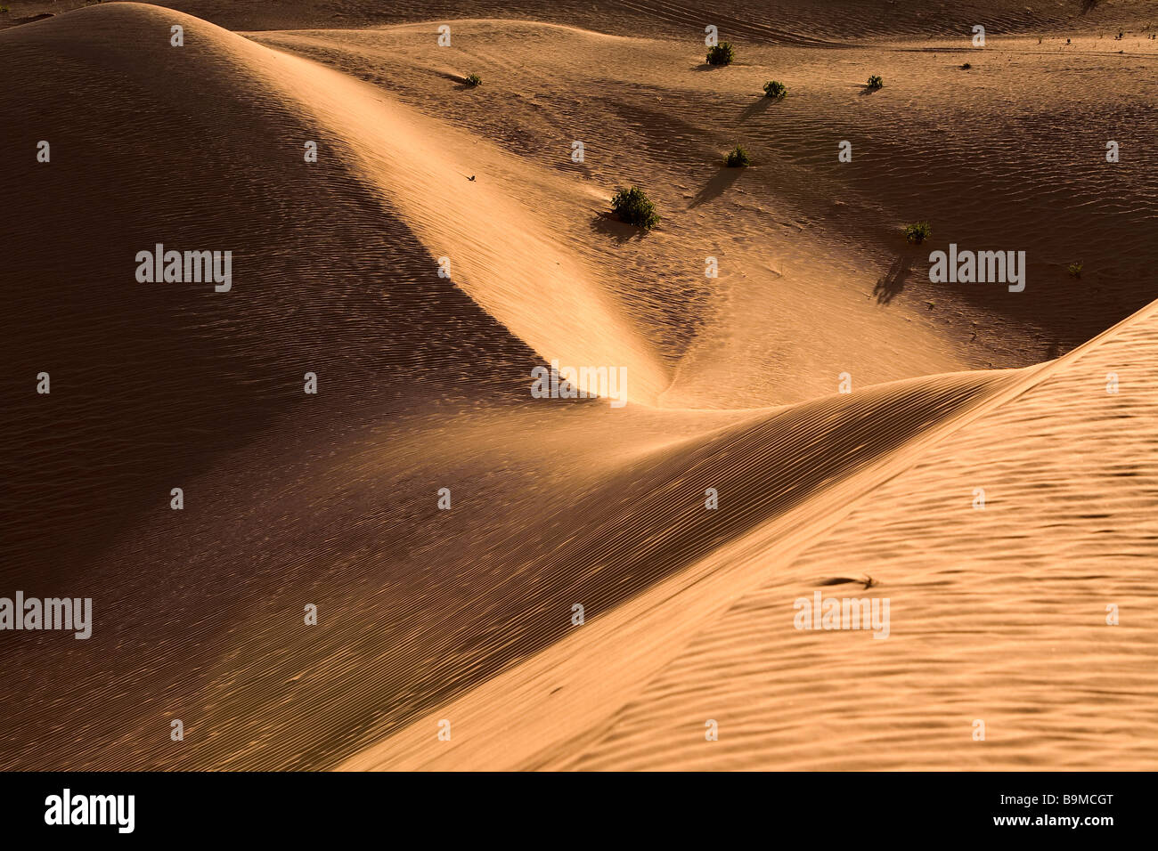 Chinguetti area hi-res stock photography and images - Alamy