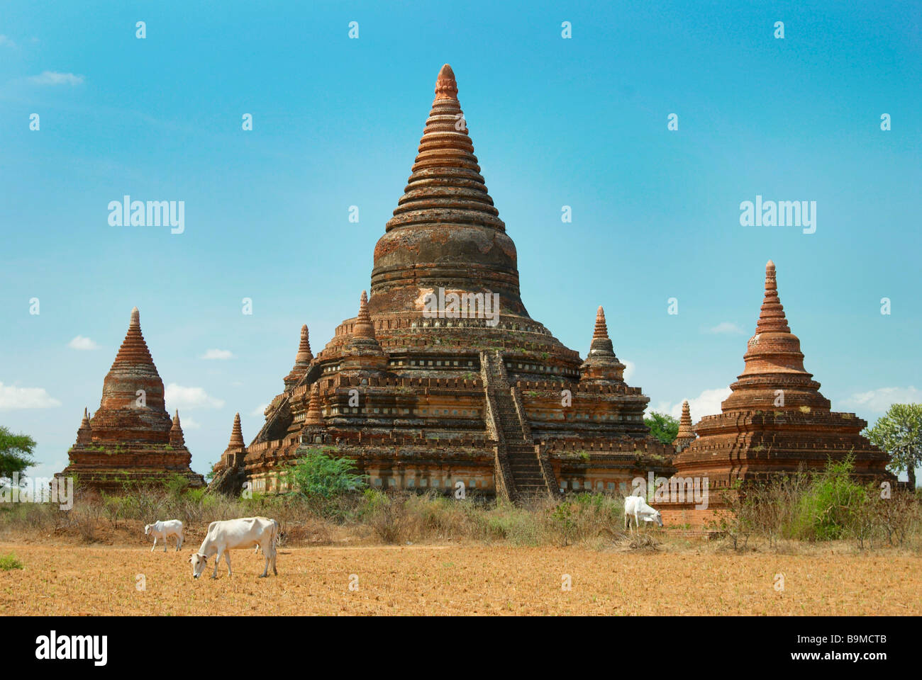 The temples of Bagan Stock Photo - Alamy