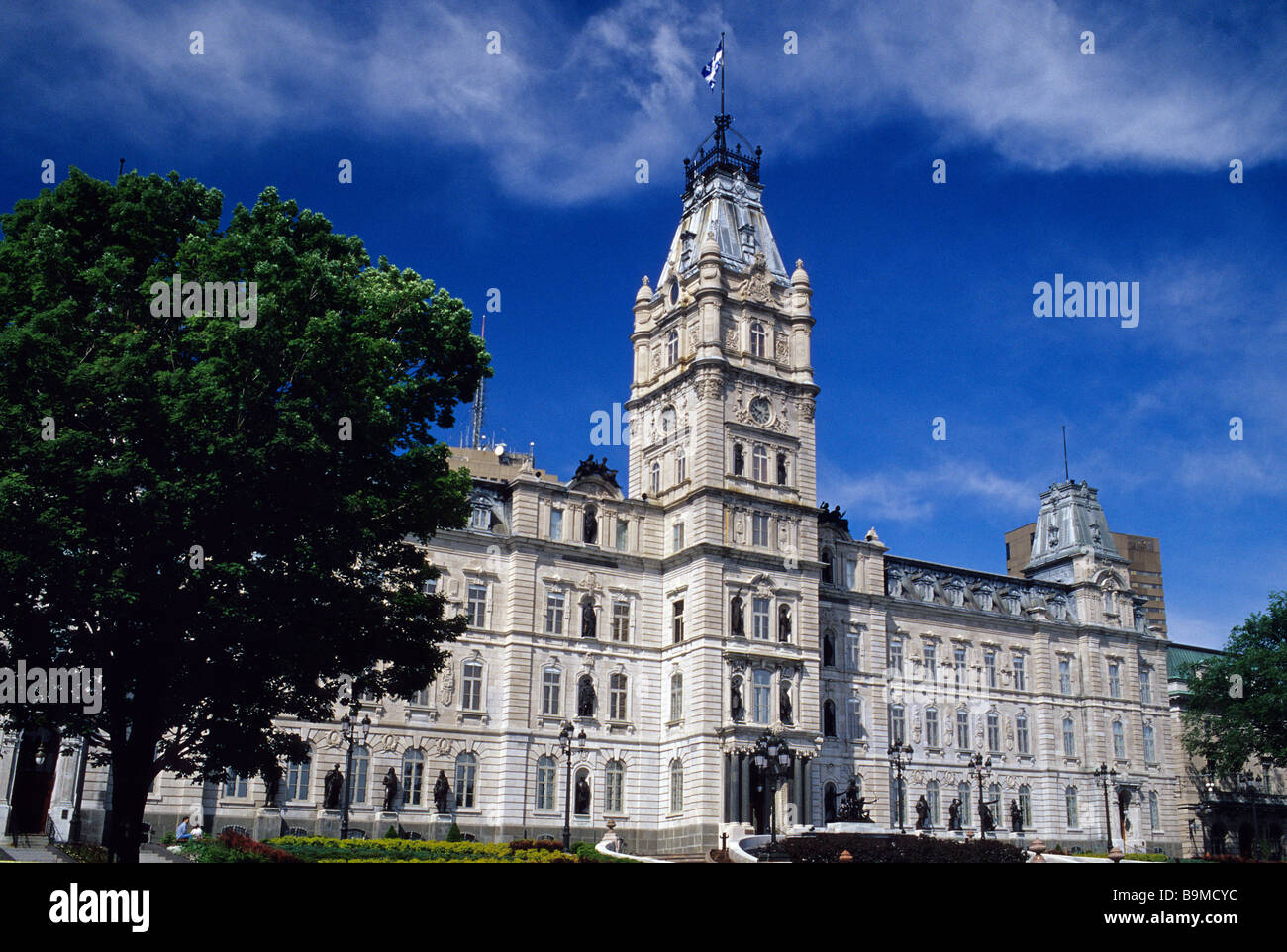 Provincial tree of quebec hi-res stock photography and images - Alamy