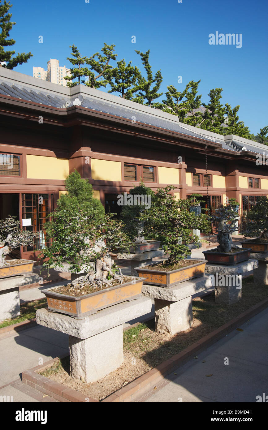 Asia hill nature trees culture traditional outdoors hi-res stock ...