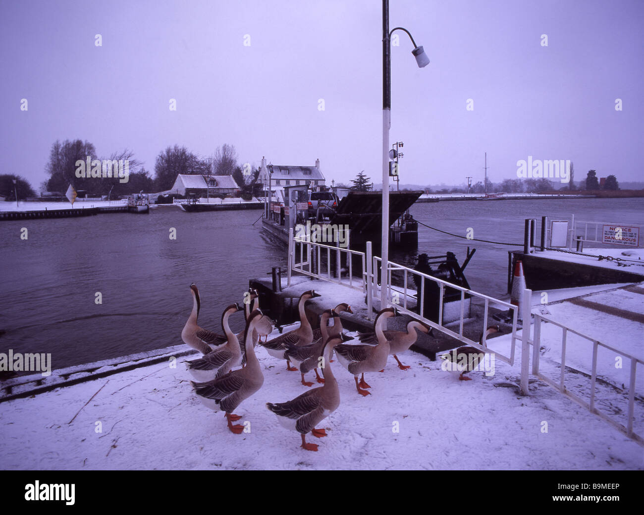 Reedham ferry on the River Yare, Norfolk Broads Stock Photo - Alamy