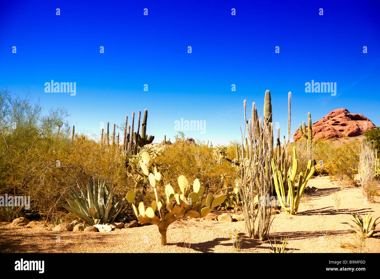 Arizona southwest hi-res stock photography and images - Alamy