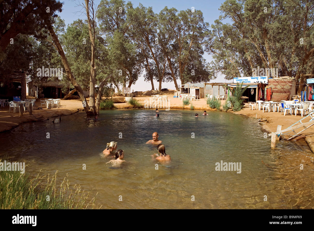 Tunisia, South-side, Ksar Ghilane oasis, Hot spring Stock Photo - Alamy