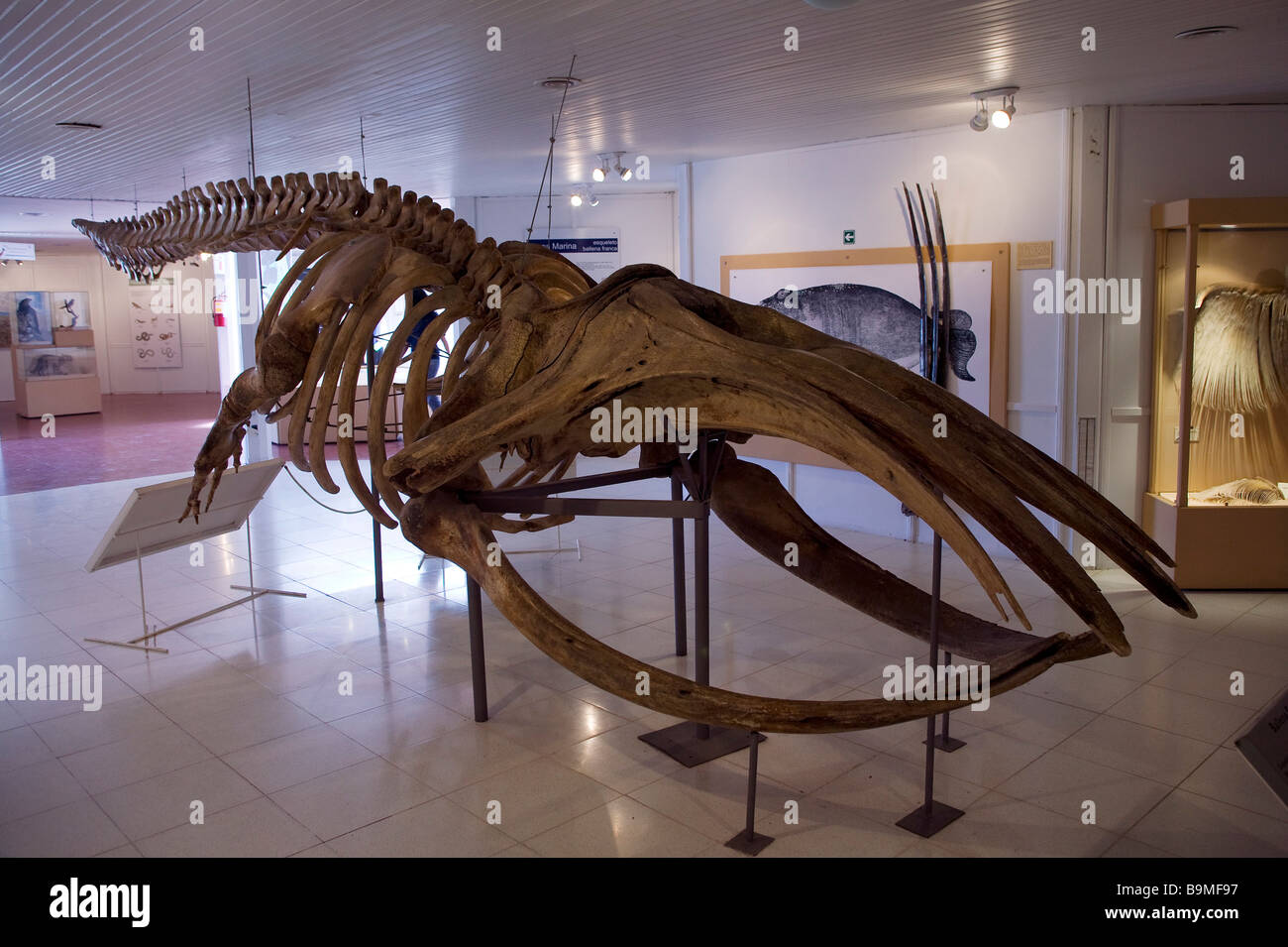 Whale Bone House Stock Photos & Whale Bone House Stock Images - Alamy